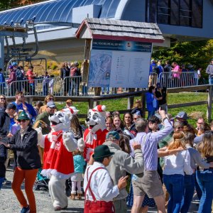 North Carolina Festivals – Events This Weekend in NC | VisitNC.com