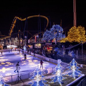 North Carolina Festivals – Events This Weekend in NC | VisitNC.com