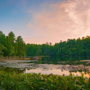 Spring Festivals - Things to Do This Spring in NC | VisitNC.com