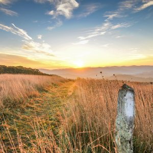 Spring Festivals - Things to Do This Spring in NC | VisitNC.com