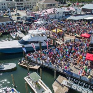 North Carolina Festivals – Events This Weekend in NC | VisitNC.com