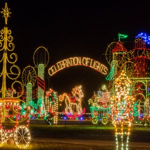 North Carolina Festivals – Events This Weekend in NC | VisitNC.com