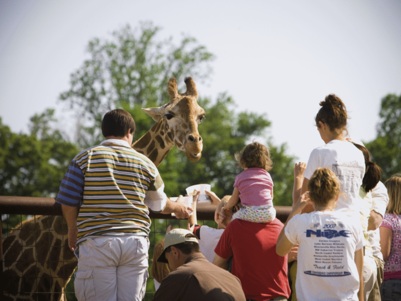 Lazy 5 Ranch | VisitNC.com