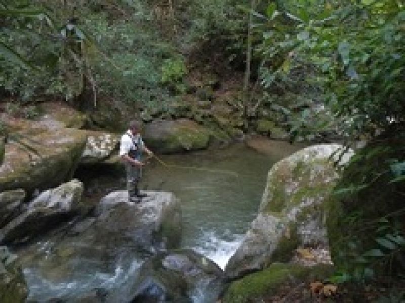 High Ridge Adventures | VisitNC.com