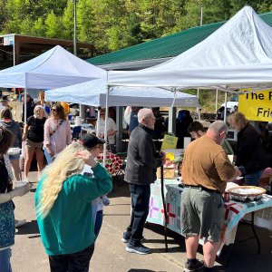 North Carolina Festivals – Events This Weekend in NC | VisitNC.com