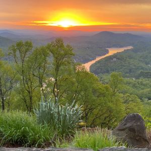 Spring Festivals - Things to Do This Spring in NC | VisitNC.com