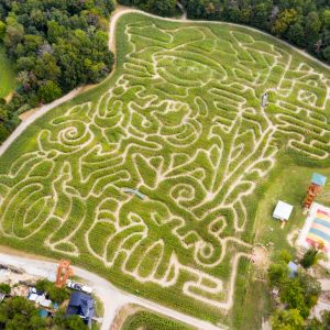 Fall Festivals, Events & Activities in North Carolina | VisitNC.com