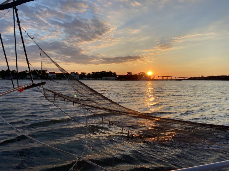 Reel Livin' Fishing Charters | VisitNC.com