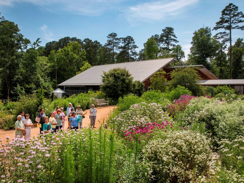 What Is An Arboretum Garden | Fasci Garden