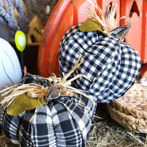North Carolina Festivals – Events This Weekend in NC | VisitNC.com