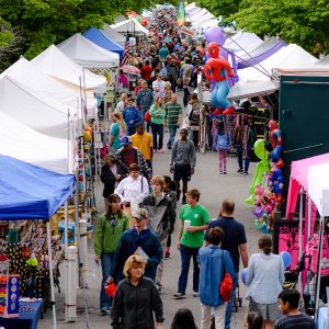 North Carolina Festivals – Events This Weekend in NC | VisitNC.com