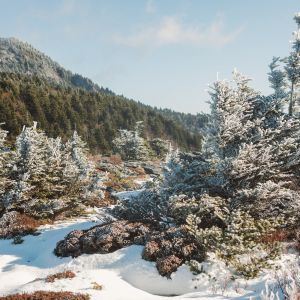 North Carolina Winter trips | Things to do in Winter in NC | VisitNC.com