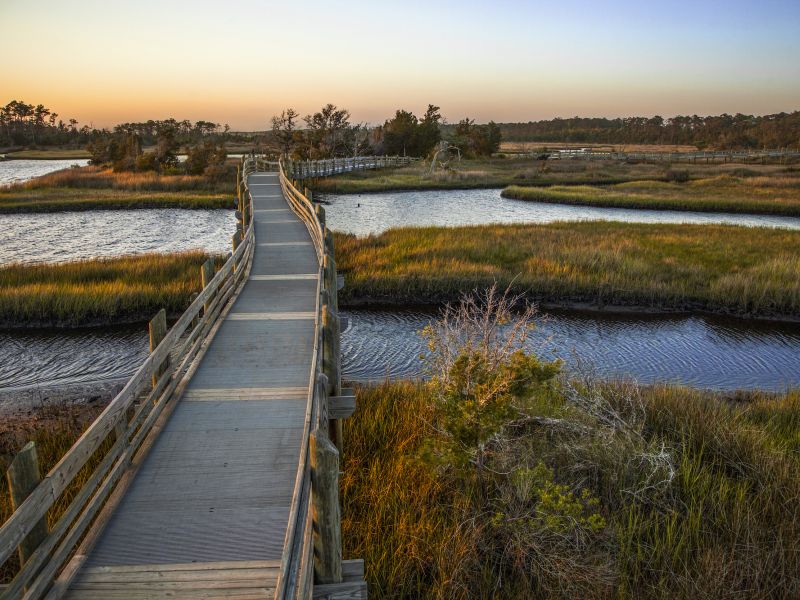 An NC Trip Inspired by Where the Crawdads Sing & Barkley Cove | VisitNC.com