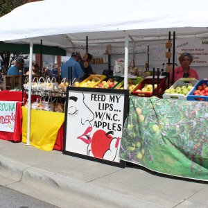 North Carolina Festivals – Events This Weekend in NC | VisitNC.com