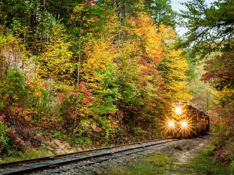 Fall Festivals, Events & Activities in North Carolina | VisitNC.com