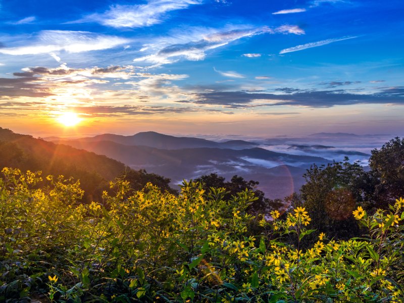 Spring Festivals - Things to Do This Spring in NC | VisitNC.com