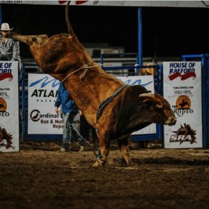 North Carolina Festivals – Events This Weekend in NC | VisitNC.com