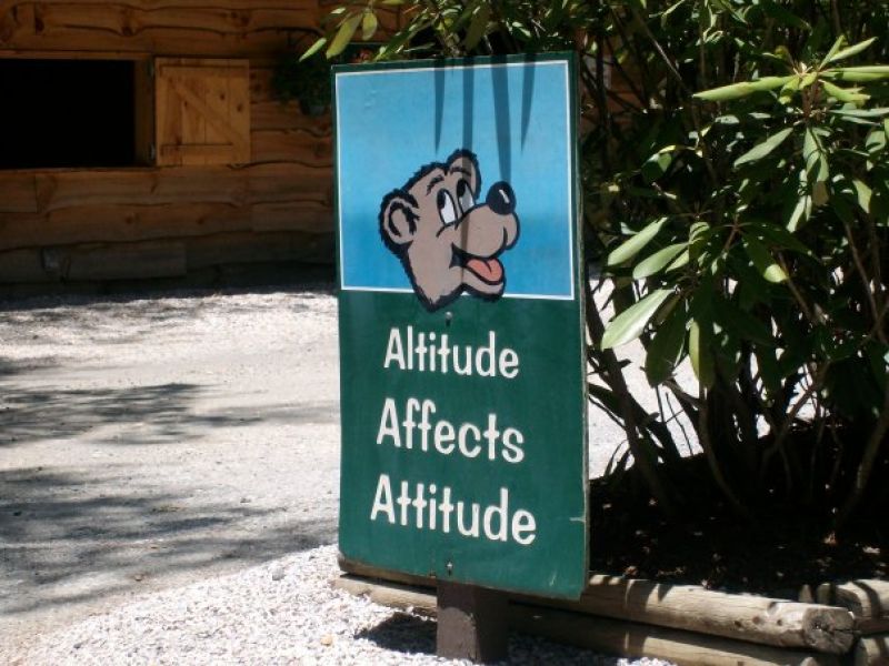 Spacious Skies - Bear Den | VisitNC.com