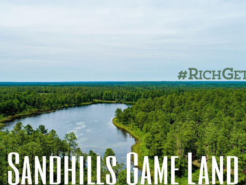 Sandhills Gamelands Richmond County Hoffman, NC | VisitNC.com