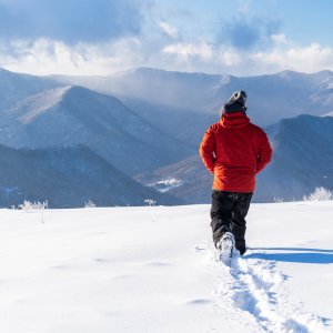 North Carolina Winter trips | Things to do in Winter in NC | VisitNC.com