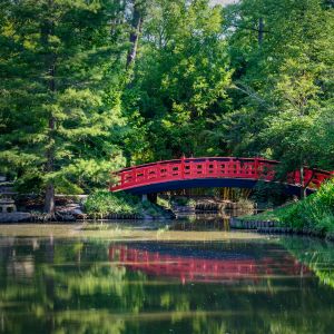 Spring Festivals - Things to Do This Spring in NC | VisitNC.com