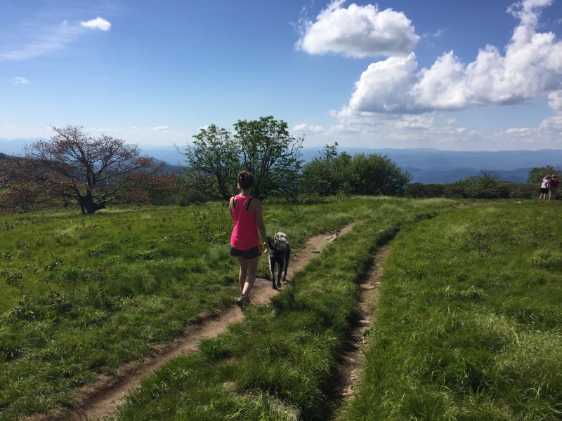 An NC Insider's Guide to Spring Gardens, Art and Blooms | VisitNC.com